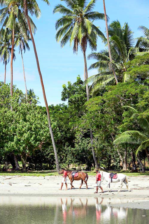 Namale Fiji Islands Resort and Spa, Fiji - Reviews, Pictures, Videos, Map